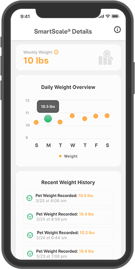 Litter-Robot 4 | Smart, Self-Cleaning Litter Box | Litter-Robot