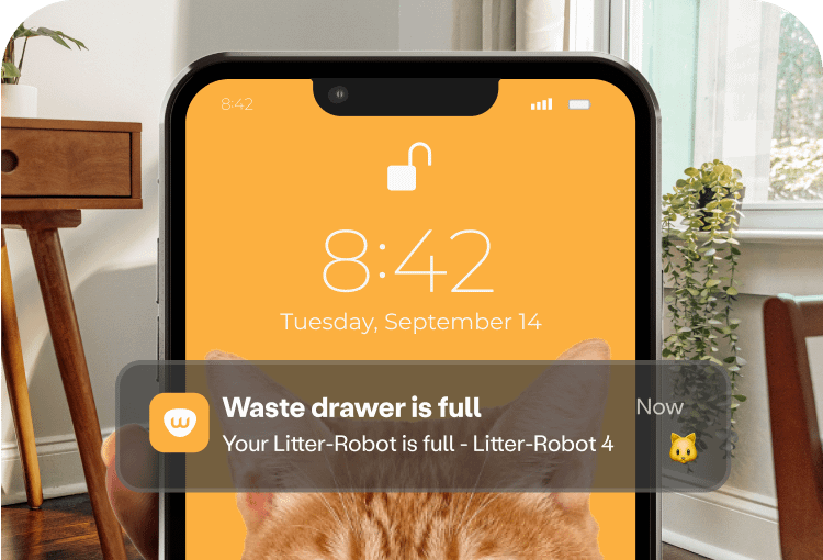 Reliable pet care, lasting value | Litter-Robot by Whisker