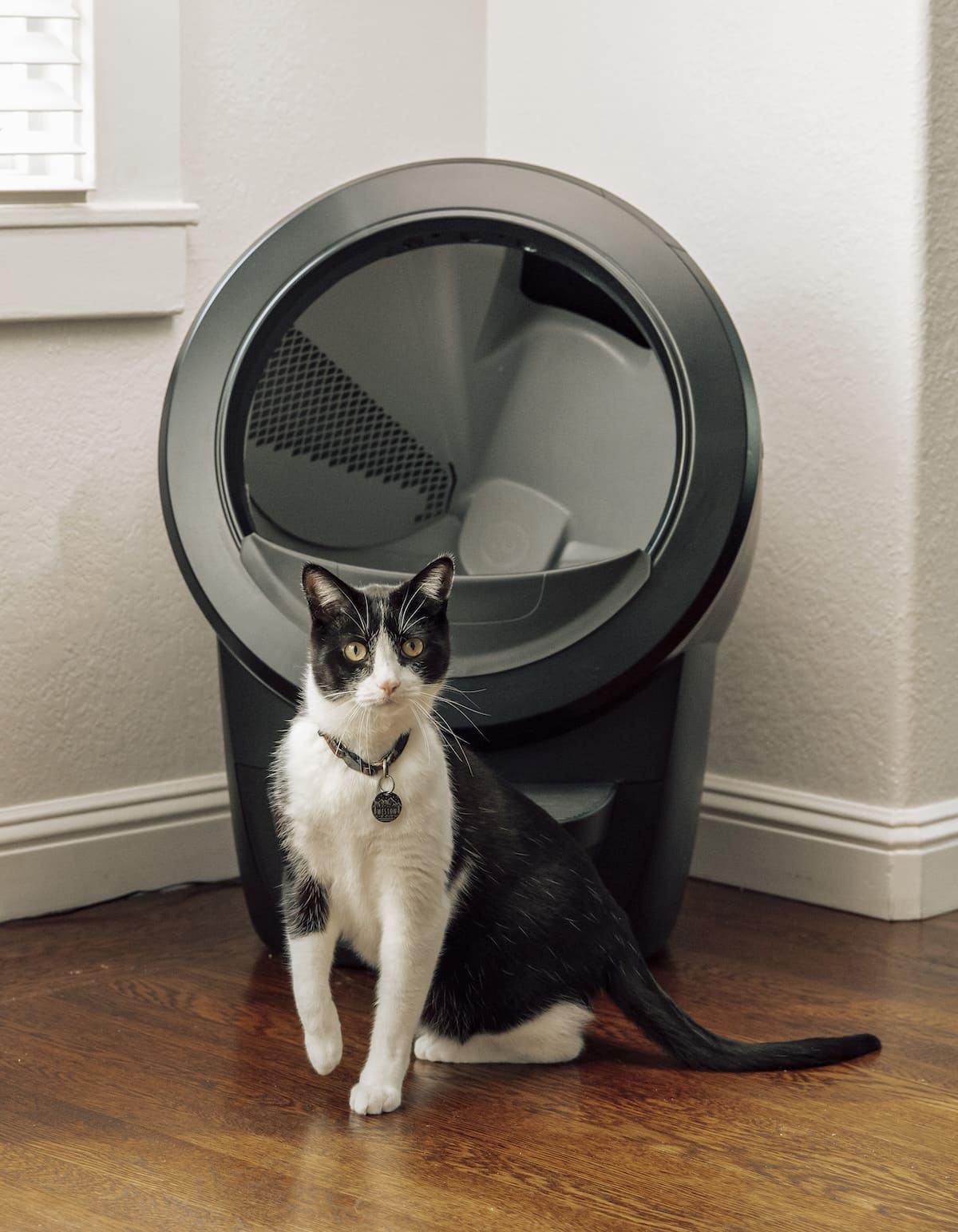 Why Choose Litter-Robot - Unique Features & Benefits