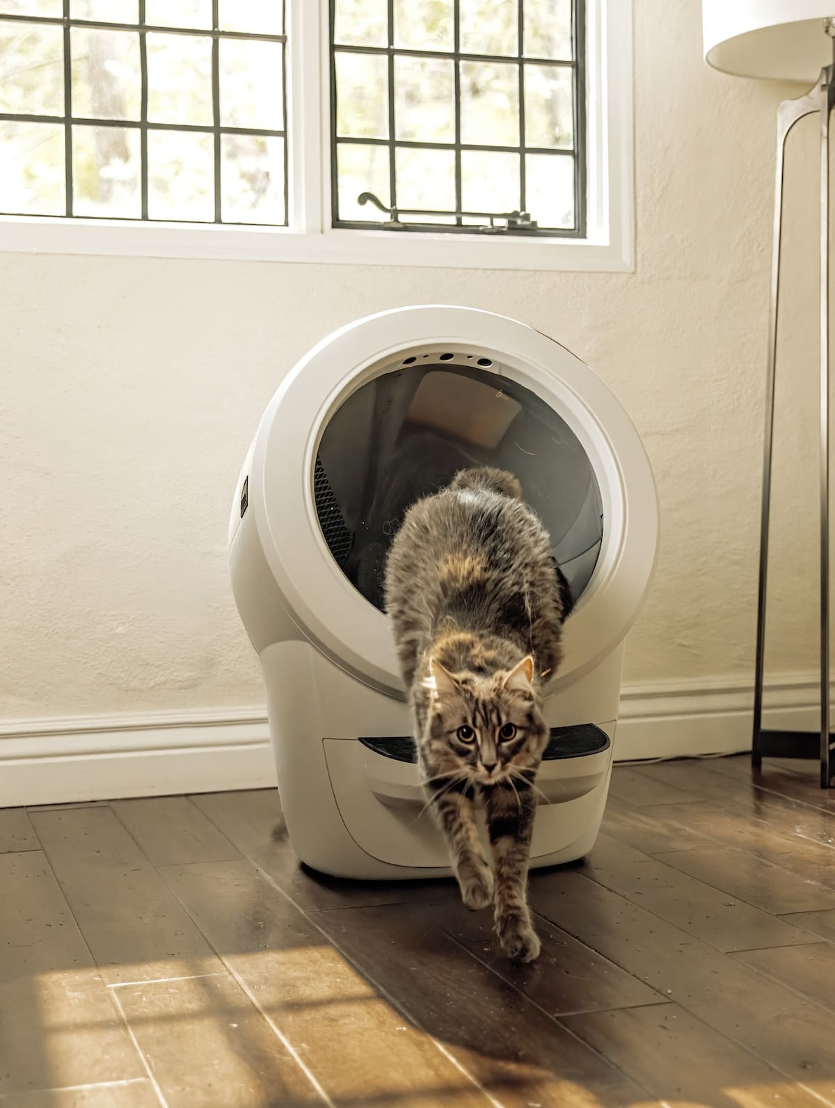 Why Choose Litter-Robot - Unique Features & Benefits