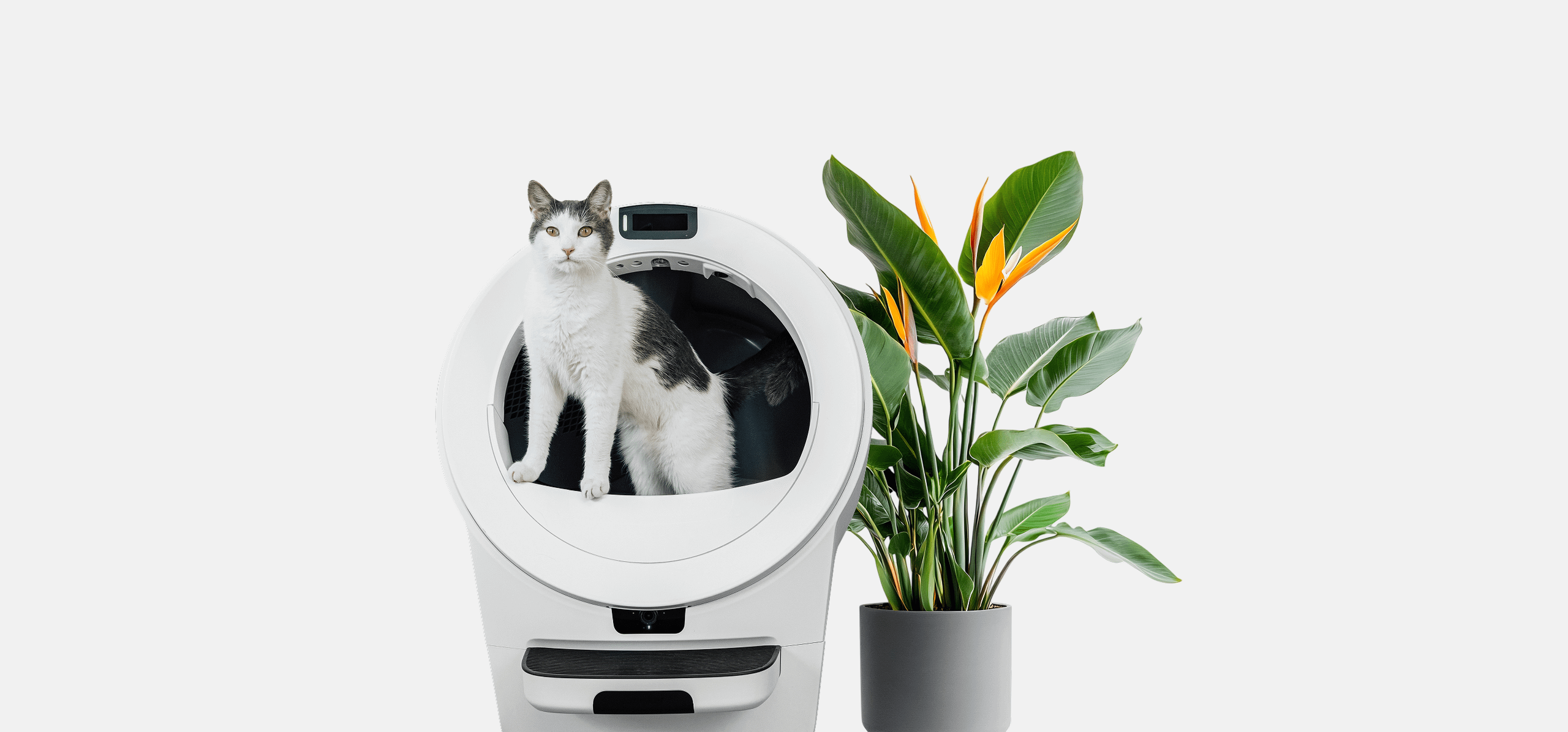 Litter-Robot 5 Pro | The Greatest AI-Powered Litter Box