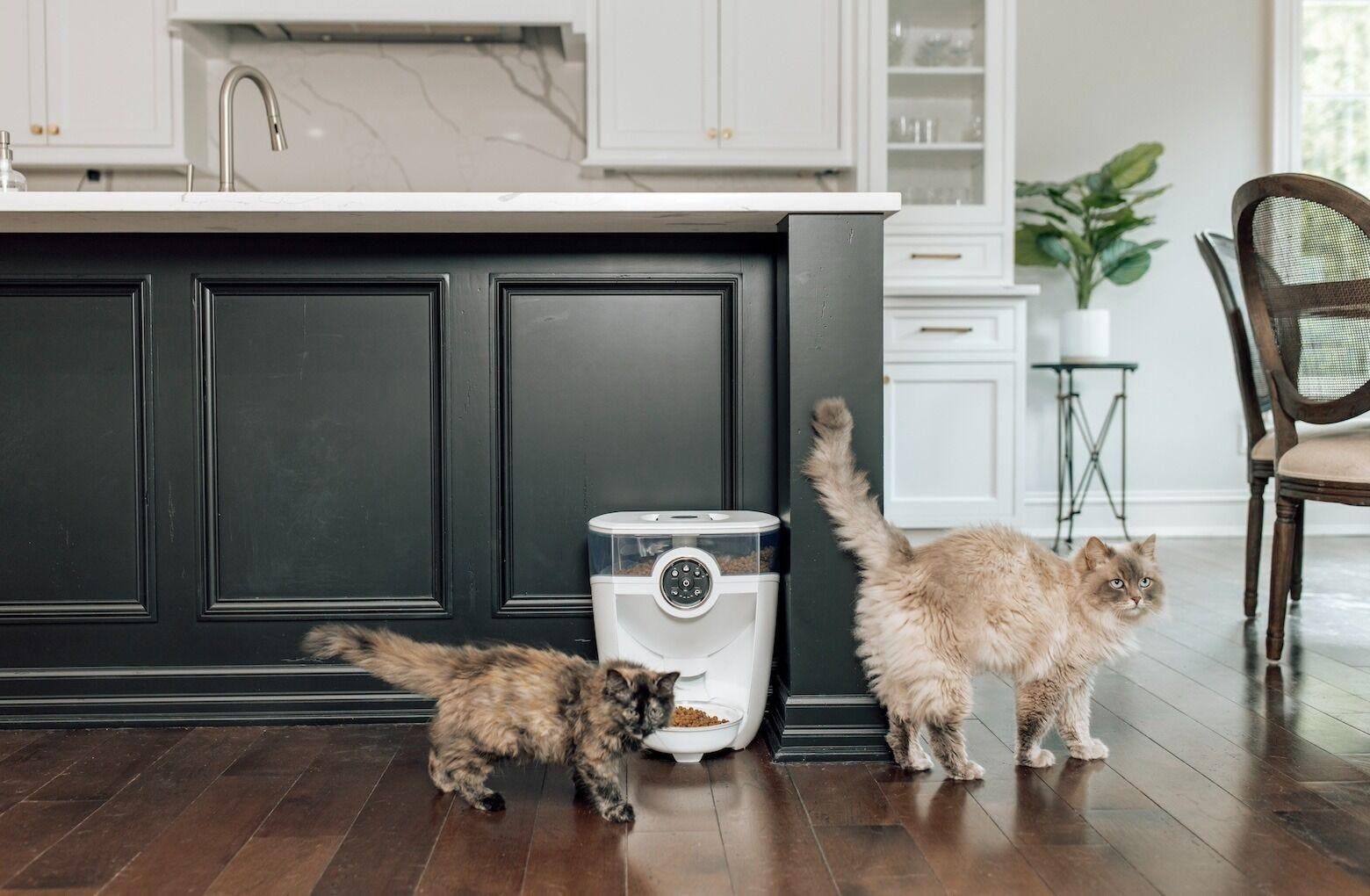 Feeder-Robot - Automatic Pet Food & Snack Dispenser | Litterbox.com