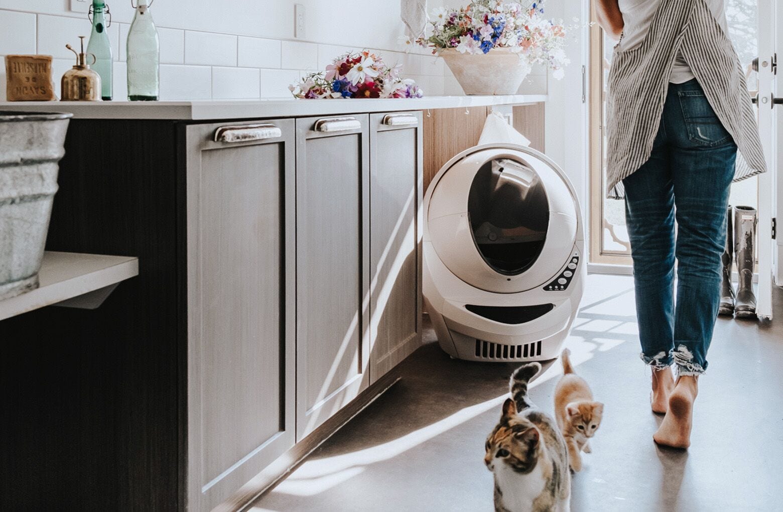 Litter-Robot 3 Connect | Self-Cleaning, Smart Litter Box