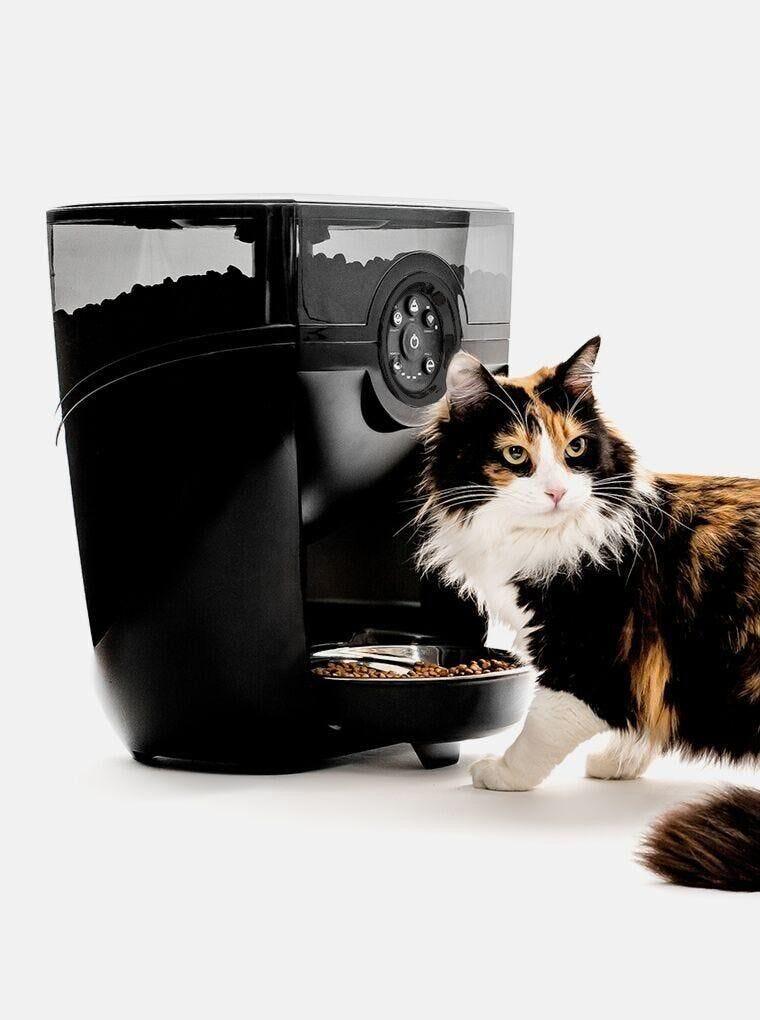 Feeder-Robot - Automatic Pet Food & Snack Dispenser | Litterbox.com