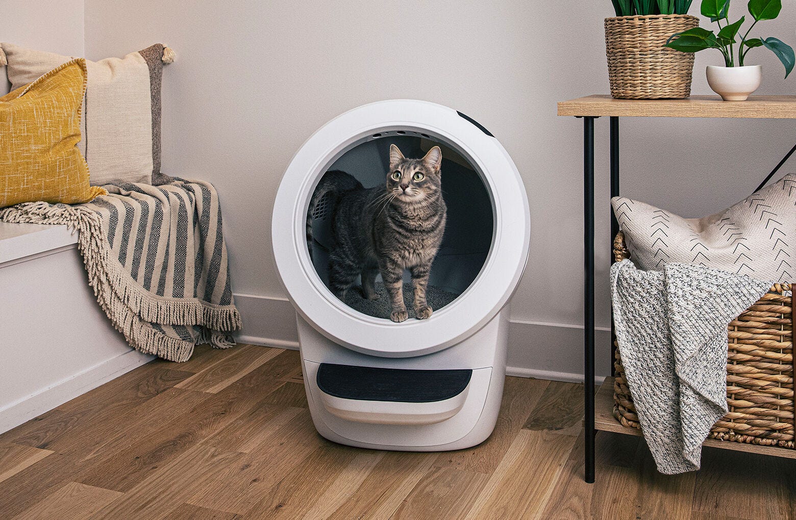 Litter-Robot 4 Warranty Bundle | 4-Year Protection Plan | Litter-Robot