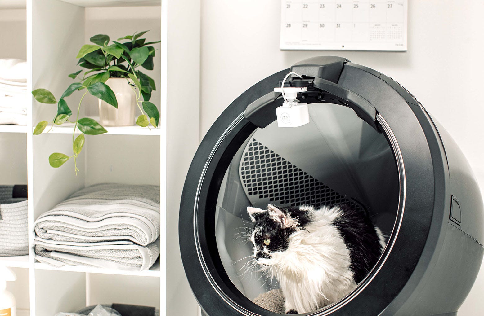 Litter-Robot 4 Camera Mount | Litter Box Accessories