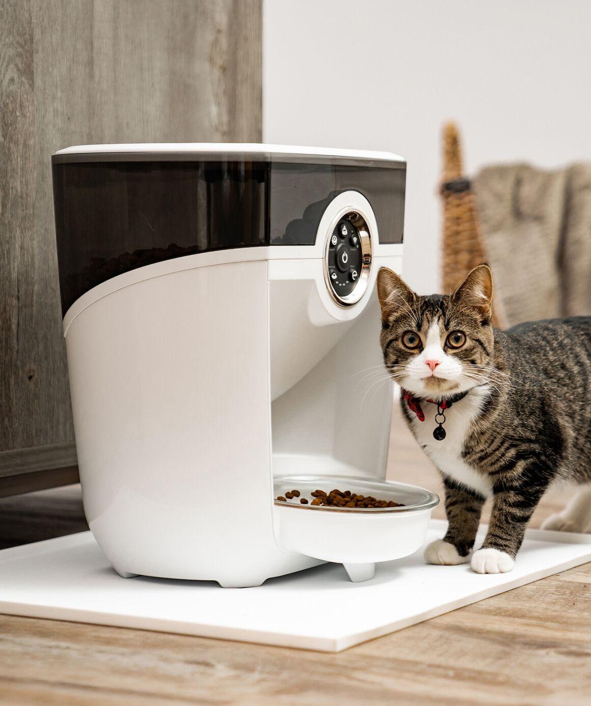 Feeder-Robot Automatic Pet Feeder for Cats and Dogs