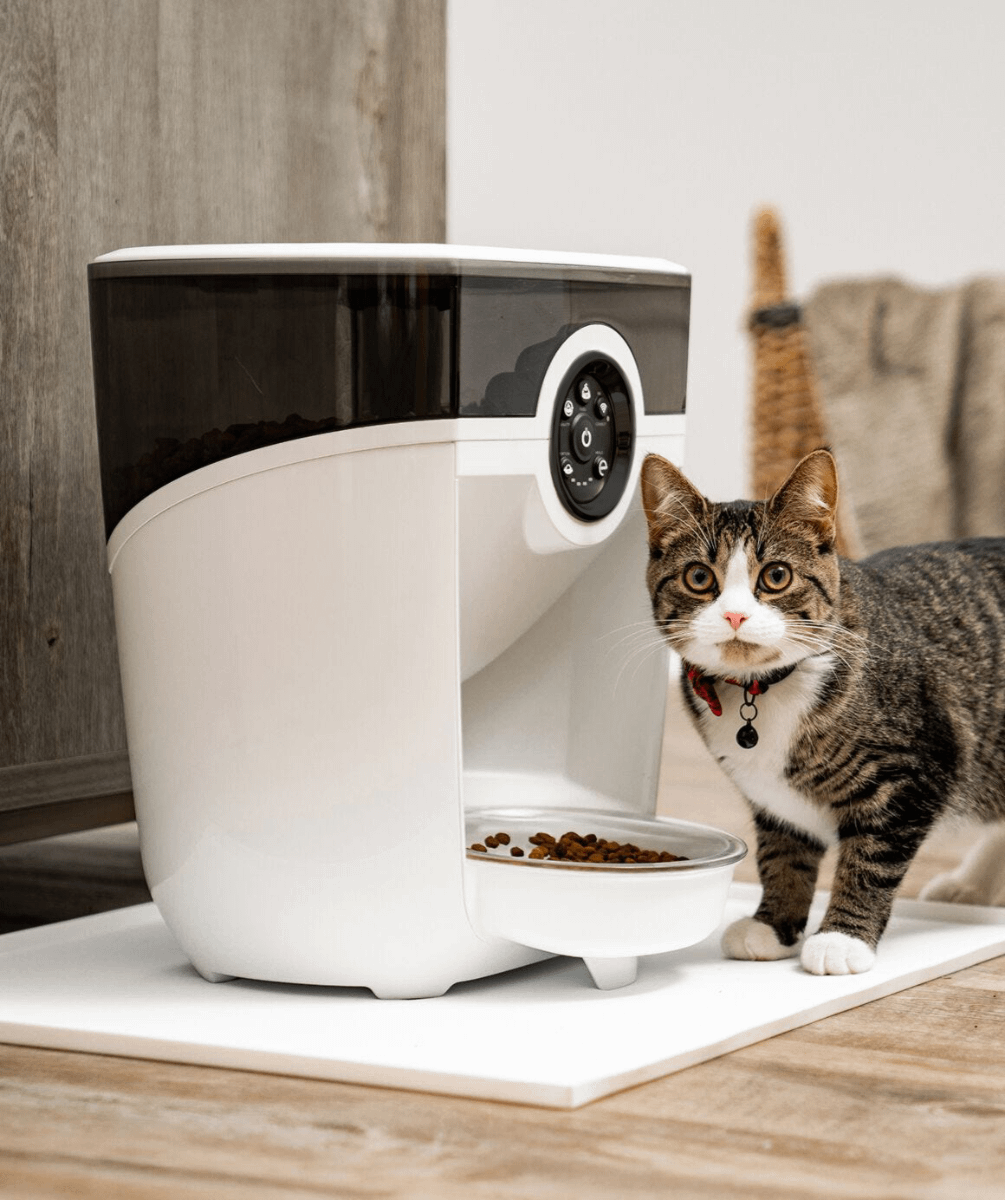 Feeder-Robot Automatic Pet Feeder for Cats and Dogs