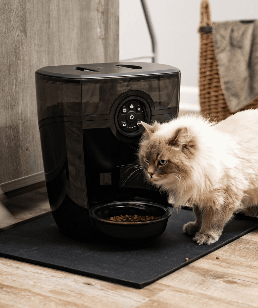 Feeder-Robot Automatic Pet Feeder for Cats and Dogs