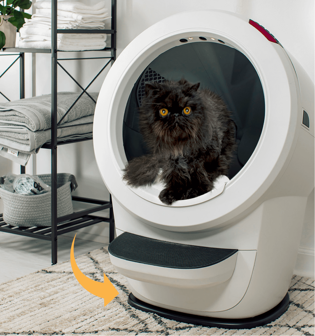 Litter-Robot 4 Bundle Builder | Build Your Own Litter-Robot