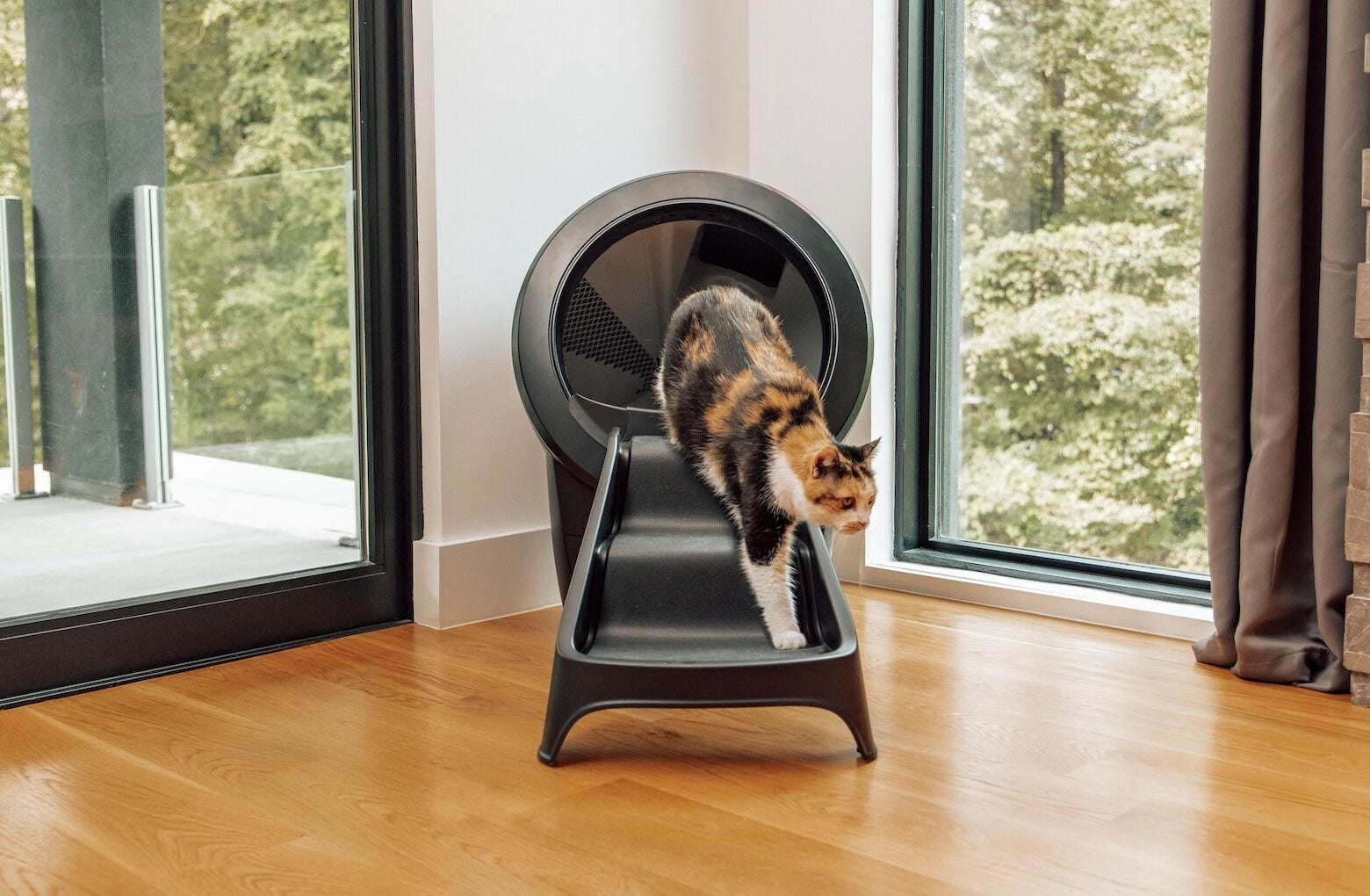 Litter-Robot 4 Ramp - Litter-Robot Stairs For Easy Access | Litterbox.com