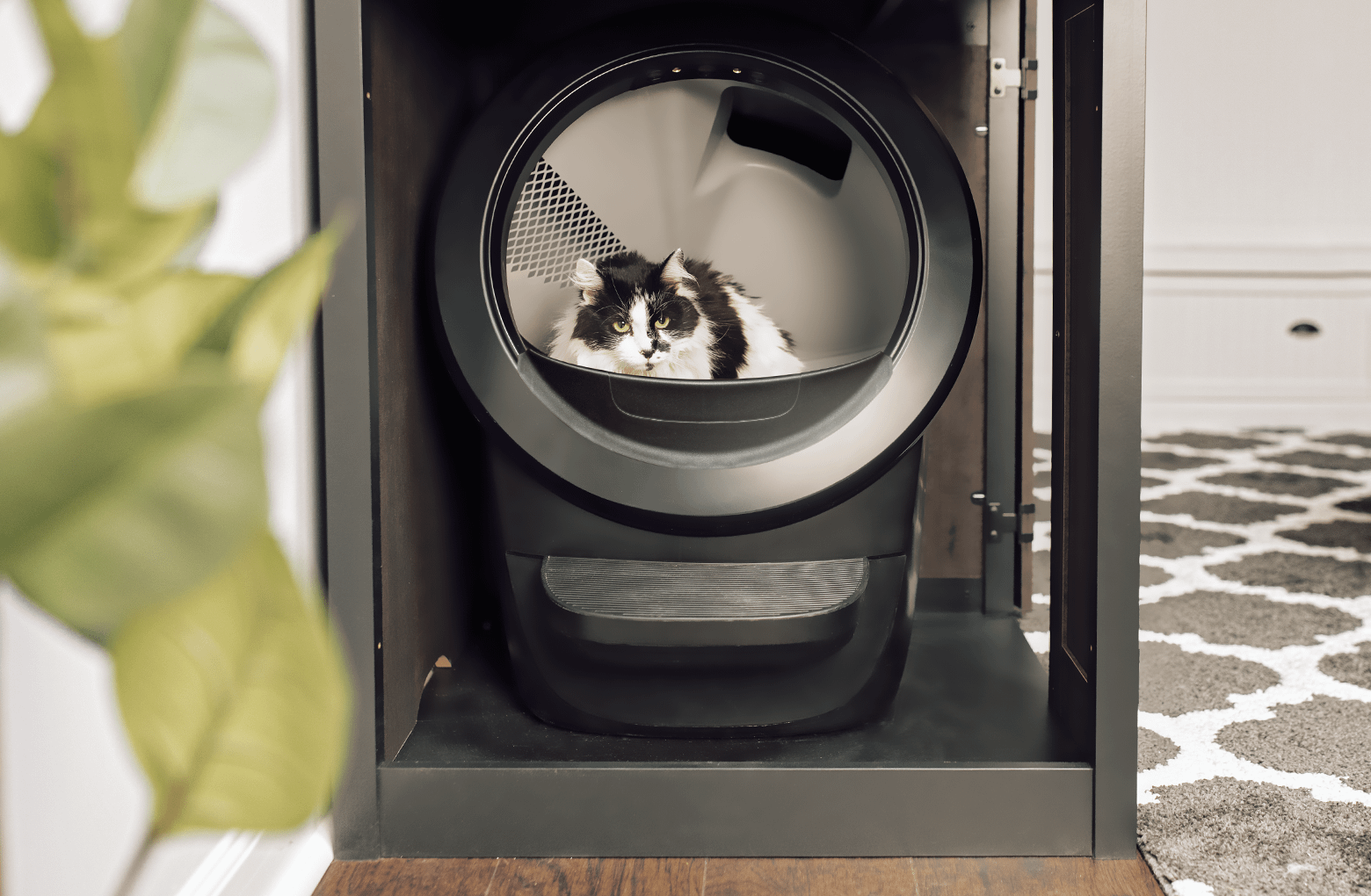 Litter-Robot 4 Storage Cabinet Bundle | Litter Box Furniture
