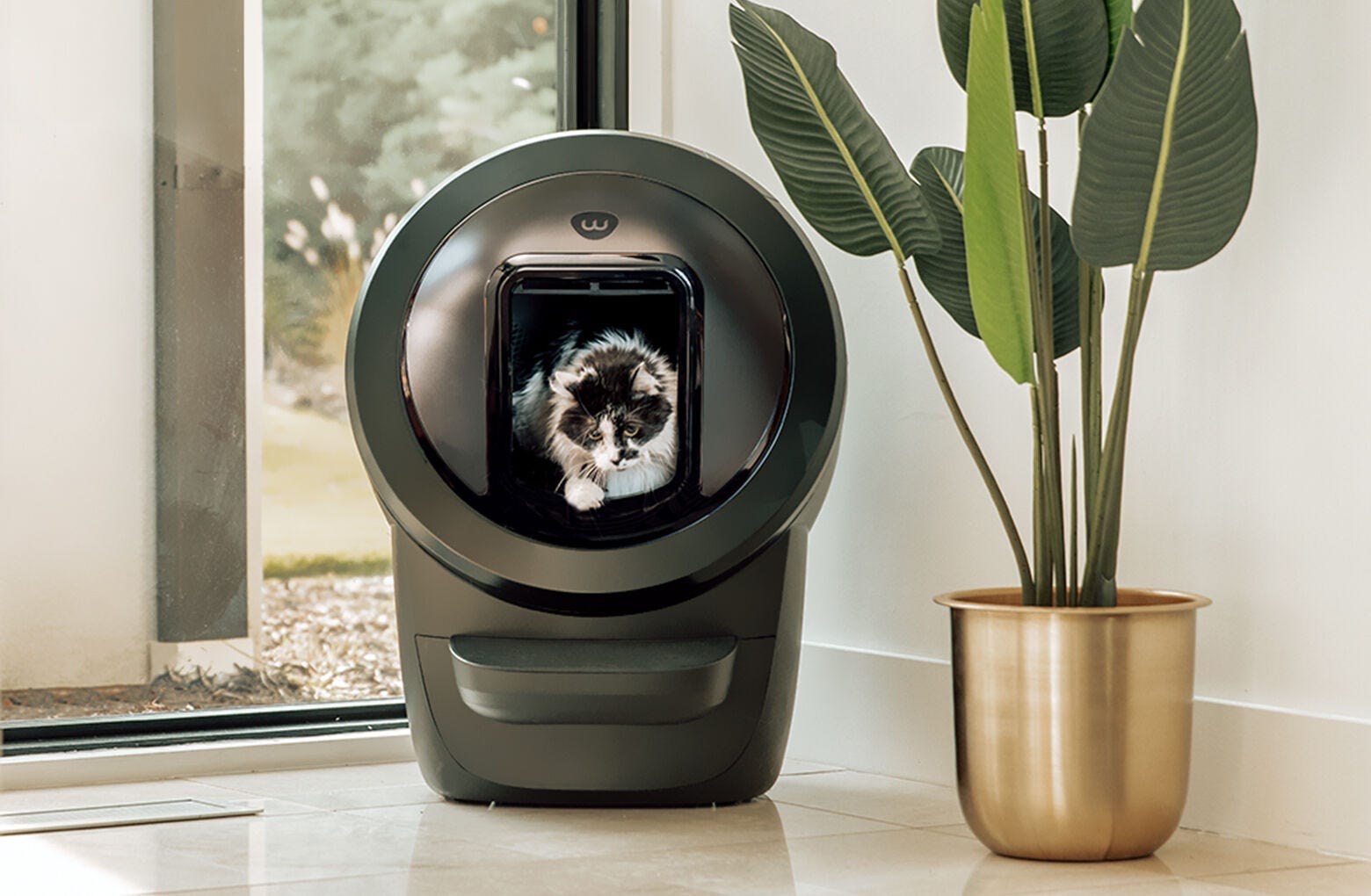 Litter-Robot 4 Shield | Contain Litter & Provide Privacy