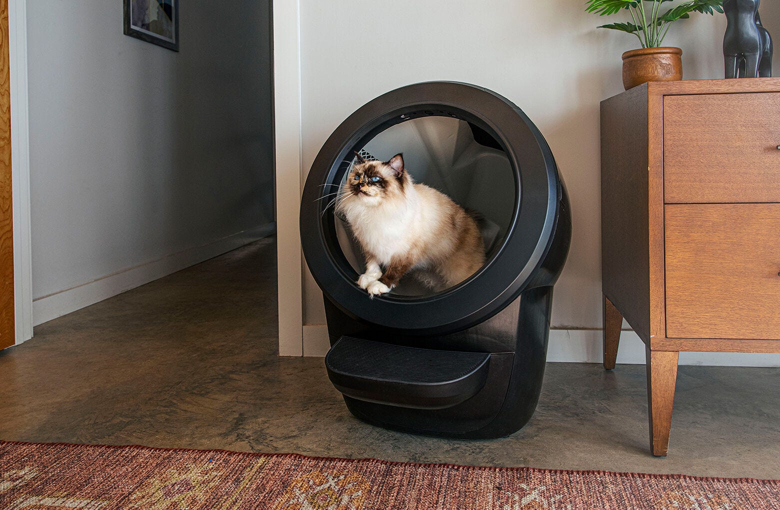 Litter-Robot 4 Warranty Bundle | 3-Year Protection Plan