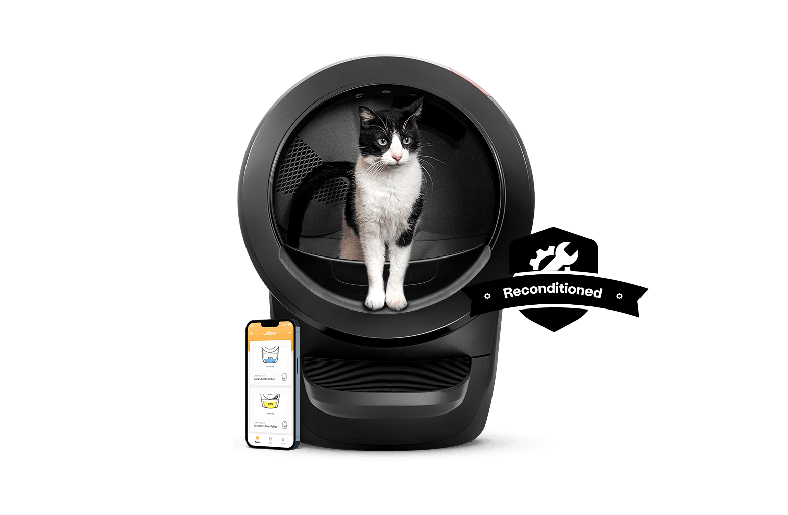 Litter-Robot 4 - Reconditioned | Save Money on Litter-Robot