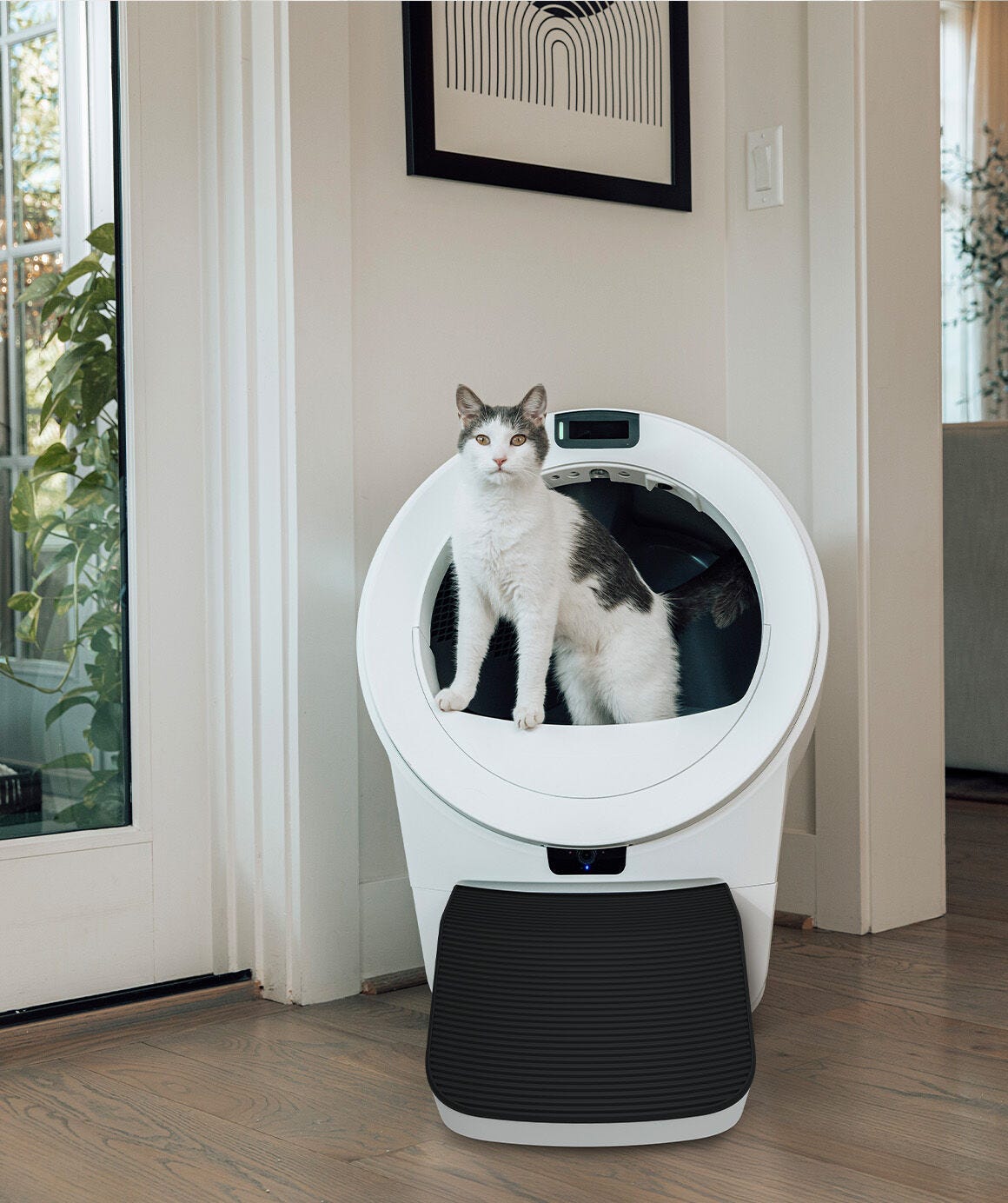 Litter-Robot 5 Ramp | Enhance Cat Access
