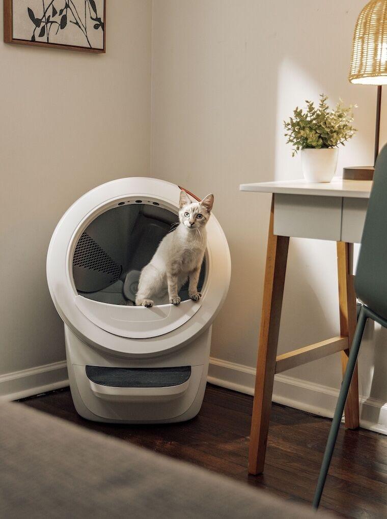 Litter-Robot 4 Insights Bundle | Unlock Advanced Insights