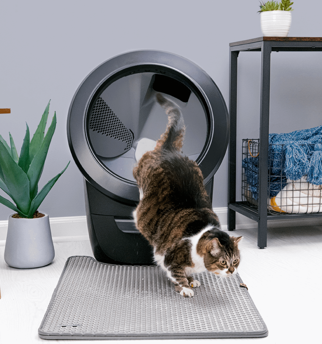 Litter-Robot 4 Bundle Builder | Build Your Own Litter-Robot