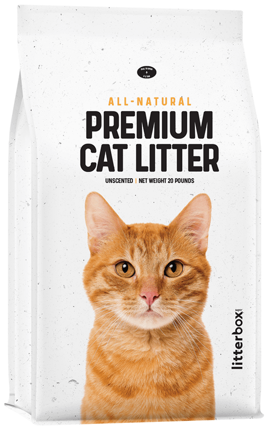 Litter-Robot 3 Connect | Self-Cleaning, Smart Litter Box