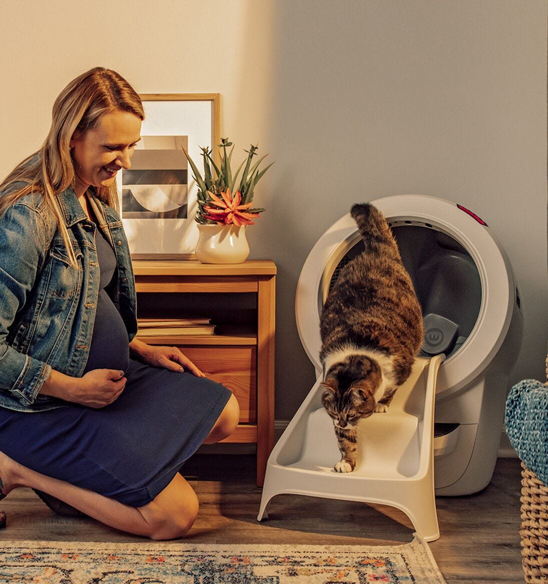 Litter-Robot 4 Bundle Builder | Build Your Own Litter-Robot