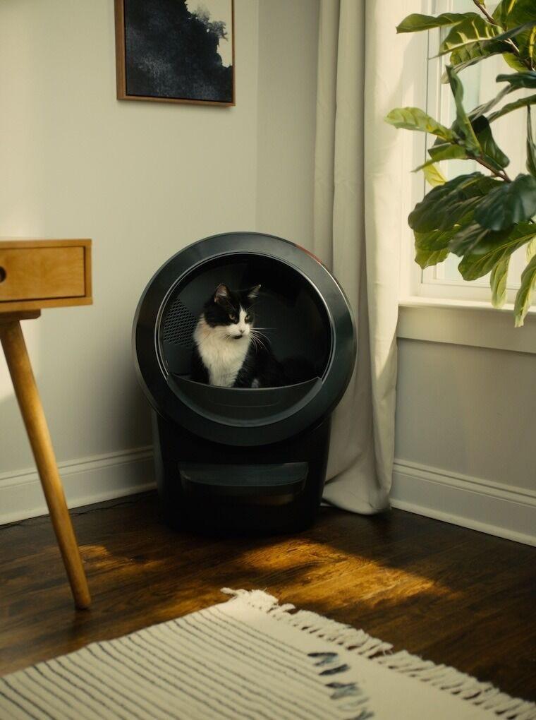 Litter-Robot 4 - Litière Autonettoyante et Intelligente | Litter-Robot