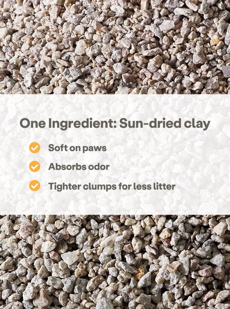 GreatLitter®: Low-Dust, Low-Tracking Cat Litter