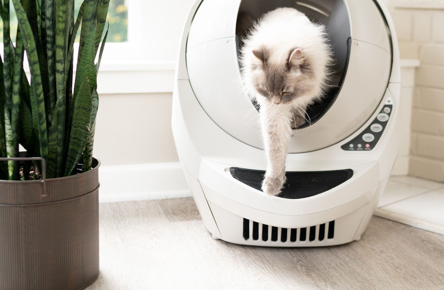 Litter-Robot 3 Step Mat | Cat Litter Box Accessories