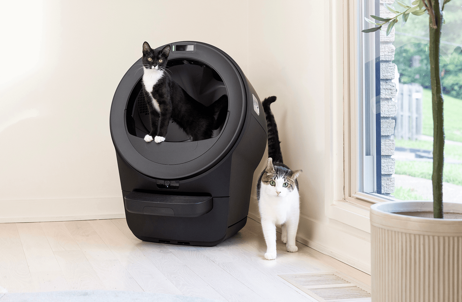 Litter-Robot 5 Pro | The Greatest AI-Powered Litter Box