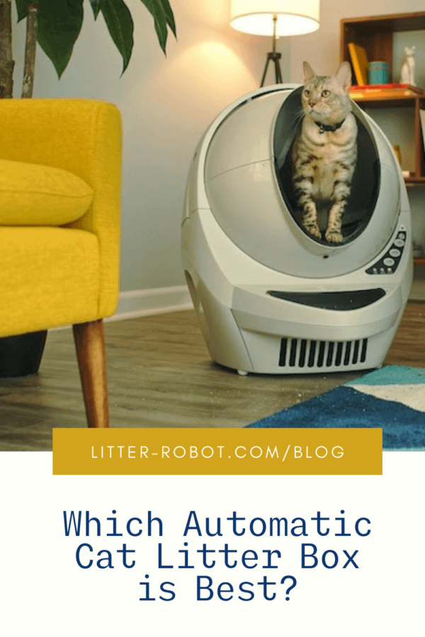 Finding the Best Automatic Litter Box - 7 Must-Have Features