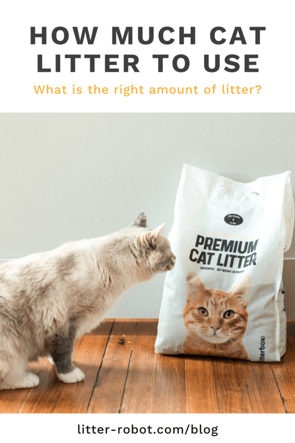 How Much Cat Litter Should You Use For Your Cat?
