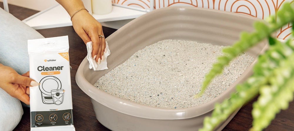 7 Ways To Keep Your Litter Box From Smelling