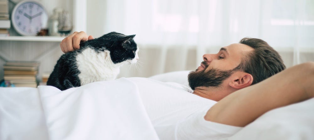 Why Does My Cat Wake Me Up Every Morning?