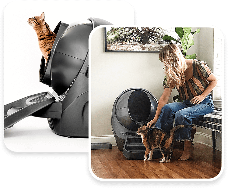 Litter-Robot 3 Connect | Self-Cleaning, Smart Litter Box