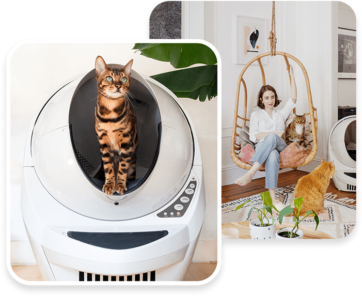 Litter-Robot 3 Connect | Self-Cleaning, Smart Litter Box