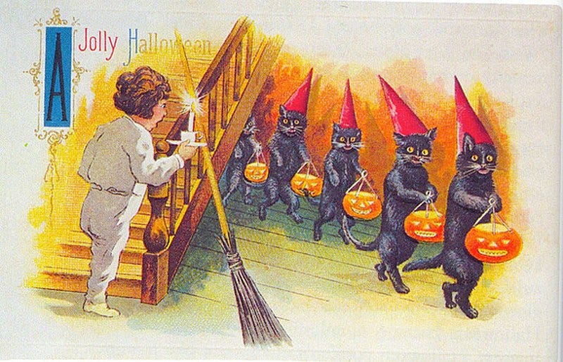 Why Are Black Cats Associated with Halloween? | Litter-Robot