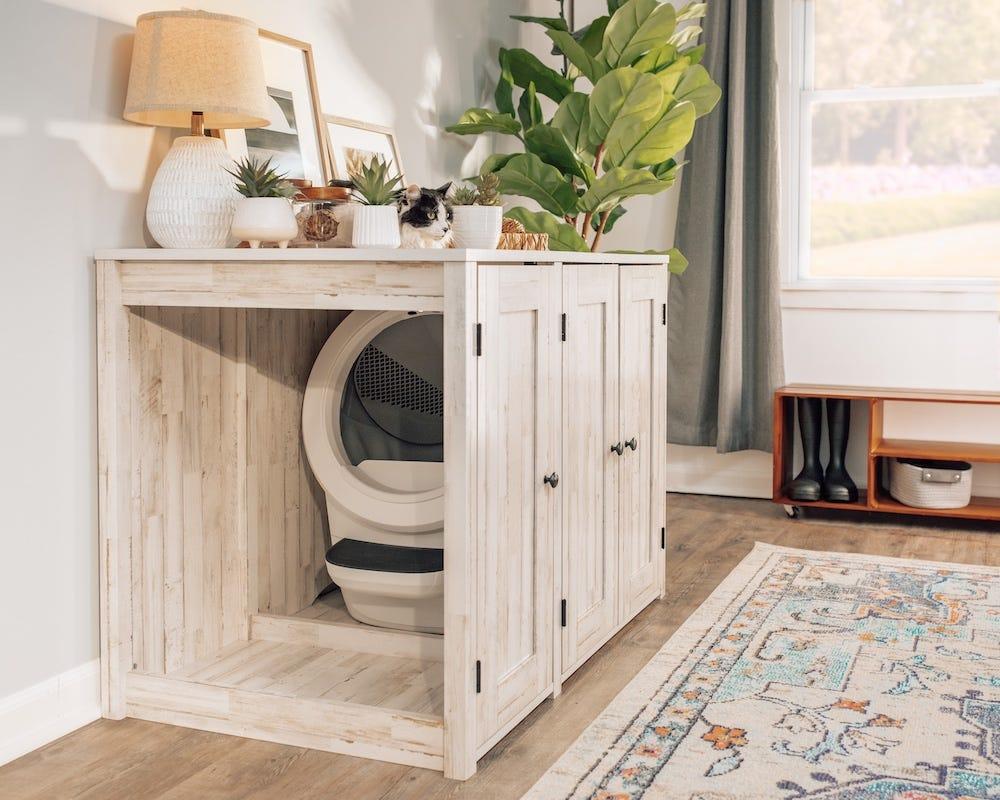 Best Litter Box Enclosure: Aesthetic & Cat-Friendly Solutions