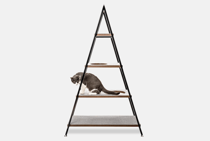 50 Best Gifts for Cat Lovers (& Cats!)