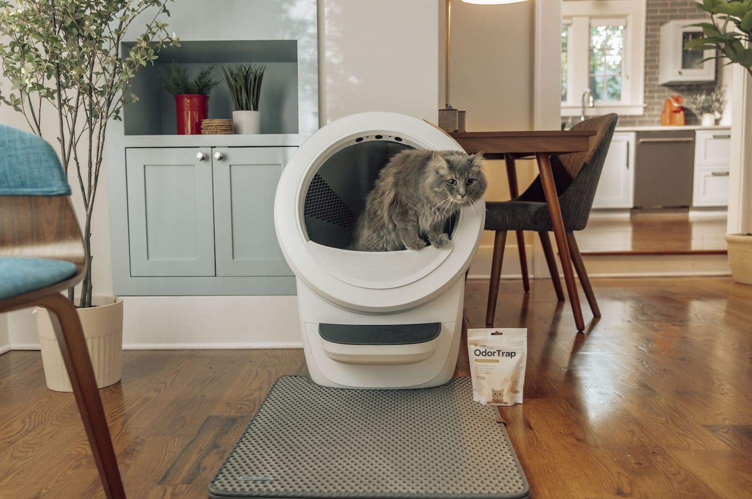 Litter-Robot 4 Trap Bundle | Reduce Litter Tracking & Odors