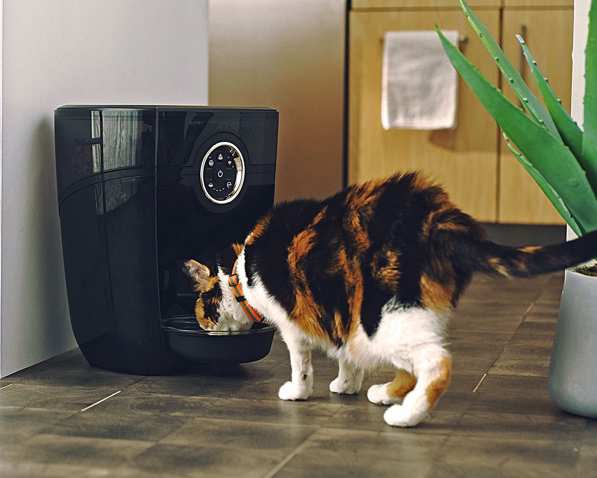Feeder-Robot - Automatic Pet Feeder & Cat Food Dispenser